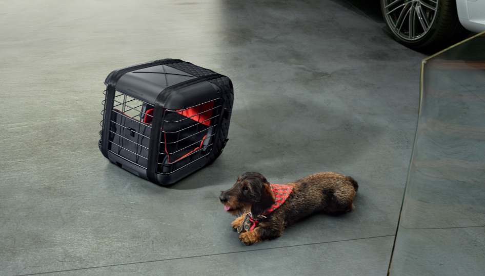 Porsche - Dog Transport Box – Shop JCT600